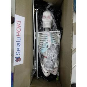 Jual KERANGKA MANUSIA DEWASA MODEL TORSO PENDIDIKAN DAN LABORATORIUM ...