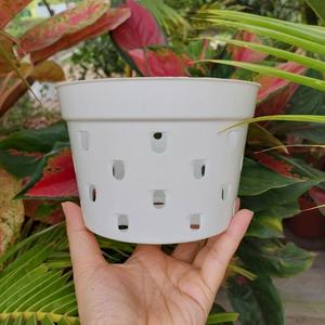 Jual POT DENDRO PD15 : pot bunga poros banyak lubang bawah samping ...