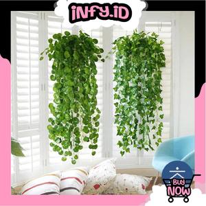 Jual INFY - Daun Rambat Besar Anggur Sulur 2m Warna Hijau Muda Plastik ...