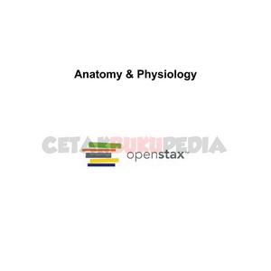 Jual Anatomy Physiology openstax - Kota Yogyakarta - tatakun222 | Tokopedia