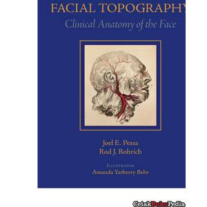 Jual Facial Topography Clinical Anatomy of Face - Kota Yogyakarta ...