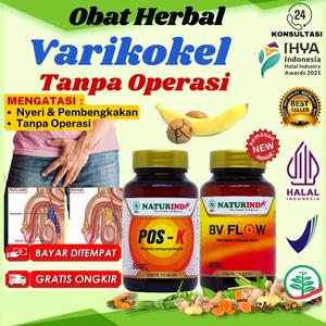 Jual Obat Varikokel Varises Bengkak Benjolan Buah Zakar Nyeri Testis ...