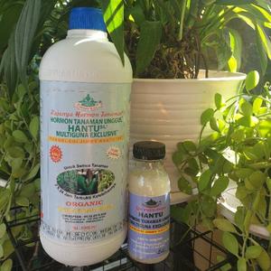 Jual Pupuk Hantu Multiguna jimmy hantu - ZPT Hormon HANTU 100 ml ...