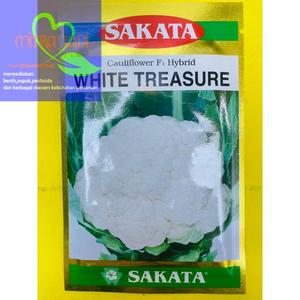 Jual Benih bunga kol bungkul hibrida WHITE TREASURE F1 isi 10gram dr ...