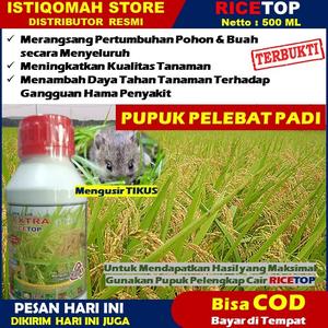 Jual Ricetop 500Ml Obat Padi Biar Buah Berbobot Obat Padi Sawah Paling Bagu - Kab. Bekasi ...