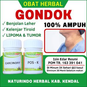 Jual Obat Gondok Di leher Gondongan Di leher Gondok Tiroid Gondongan ...