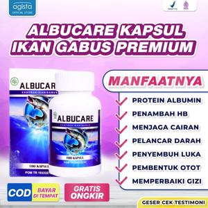 Jual Suplemen Ikan Gabus Albumin Penambah Protein Dan Vitamin Albucare ...