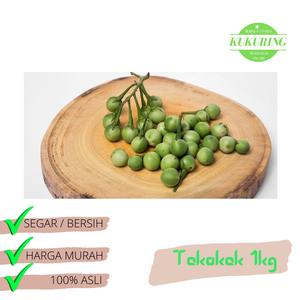 Jual Buah Takokak 1kg Cepokak Terung Pipit Segar Solanum Torvum Obat ...