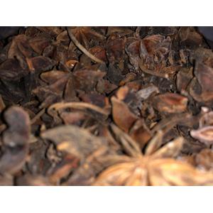 Jual I3328 bunga lawang pekak 250 gr - Kota Denpasar - yumnoninokiki ...