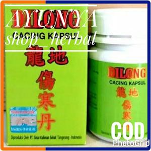Jual DILONG besar Obat Tipes Demam Ekstrak Cacing 60s 地龙伤寒丹 Obat - Kota ...