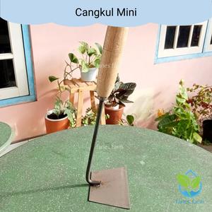 Jual Cangkul Mini / Pacul Mini Tanaman Berkebun Taman - Kota Surabaya ...