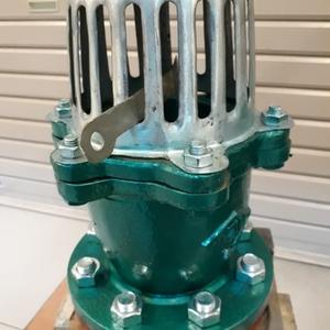 Jual Foot Valve Mizu 10" Cast Iron JIS 10K Flange - Foot Klep DN 250 ...