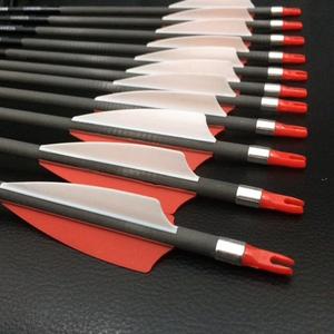 Jual Ada Arrow SPINE 400 - MUSEN Carbon Arrow - Anak Panah Karbon ...