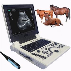 Jual Mesin USG Hewan Pemindai Ultrasound 12 Inci Portabel Untuk ...