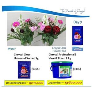 Jual TERBAIK Chrysal bubuk - flower food - pengawet bunga isi 10 sachet ...