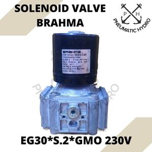 Jual SOLENOID VALVE BRAHMA EG30*S.2*GMO 230V 1" FOR LPG (GASEOUS) & AIR ...