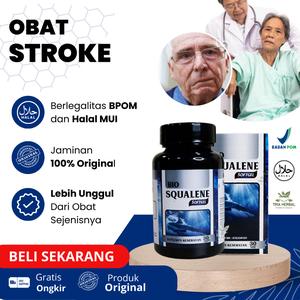 Jual Obat Stroke Ringan Berat Obat Struk Obat Bells Palsy Stroke Di ...