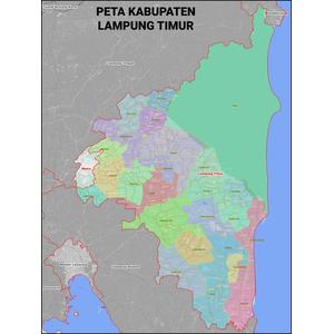 Jual Peta Kabupaten Lampung Timur Kecamatan Dan Kelurahan - 90x70cm ...