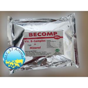 Jual BECOMP BUBUK 500 GRAM VIT B COMPLEX KOMPLEKS & MINERAL KHUSUS ...
