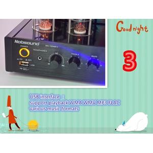 Jual Nobsound MS-10D MKIII tube amplifier Bluetooth amplifier Audio ...