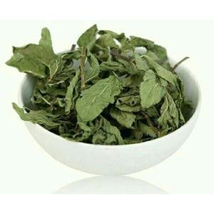 Jual DAUN MINT MENTHOL / DAUN POKO KERING 1 KG - Kota Semarang ...