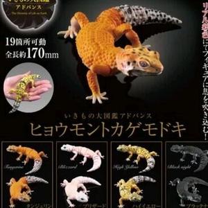 Jual Bandai dango mushi ikimono Gashapon Gacha Leopard Gecko - Kab ...