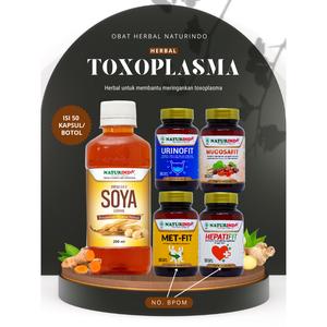 Jual Obat Toxoplasma Untuk Kesehatan Ibu Hamil Toksoplasma Toxoporosis ...