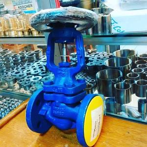 Jual Globe Valve Bellow Seal Spirax Sarco size Flange PN16 1 1/4 Inchi ...