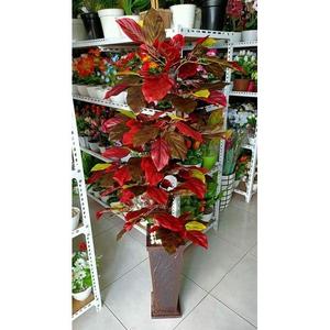 Jual Bunga hias artificial pohon Apukat merah Bunga sudut ruangan besar ...