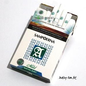 Jual s15661 Rokok Sampoerna A Mild Menthol Hijau isi 16 batang x 10 pak ...
