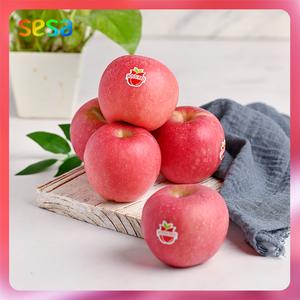 Jual Apel Fuji Blush 0.95 - 1 Kg - Jakarta Selatan - SESA Official ...