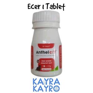 Jual Anthel Cat 1 Kapsul - Obat Cacing Kucing - Kota Malang - Kayra ...