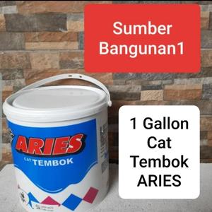 Jual Terlaris [Instant] Cat Tembok 5Kg Aries Murah Putih Biru Hijau ...