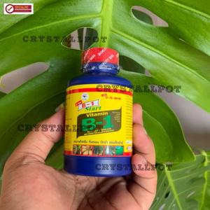 Jual W 6Q Pupuk Vitamin B1 Thailand T Rex 100Ml Original - Anti Stress ...