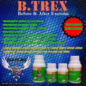 Jual baron b.trex btrex isi 100 kapsul - Jakarta Barat - Niko Lumban ...
