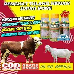 Jual READY Obat Sapi Pmk Supra Bone Penguat Tulang Isi 40 Kapsul ...