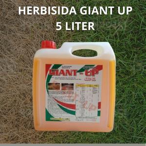 Jual herbisida sistemik giant up 480SL 5 liter racun rumput mati sampai ...