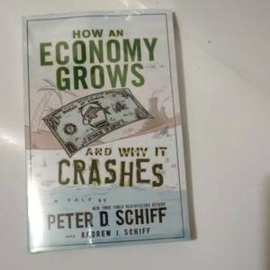 Jual [ Buku Cetak ] How an Economy Grows and Why it Crashes by Schiff ...