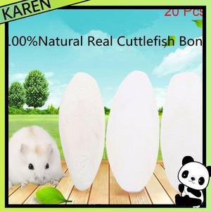 Jual KAREN 20Pcs Cuttlefish Bone Natural Chewing Tortoise Bird ...