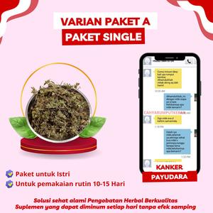 Jual OBAT HERBAL PENYUBUR KANDUNGAN RUMPUT KEBAR PAPUA - Paket A Single ...