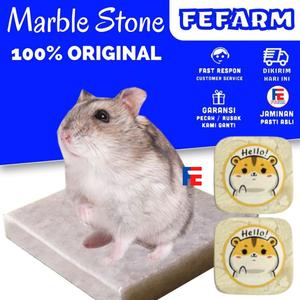 Jual Hamster Cooling Pad Marble Tempat Tidur Dingin Kotak Dwarf ...