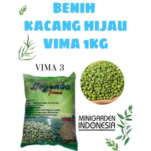 Jual PACK 1KG BIJI BENIH TANAMAN KACANG HIJAU VIMA 3 LEGENDA kacang ijo ...