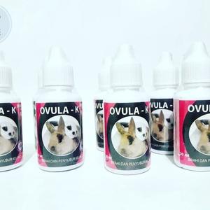 Jual OVULA K OVULA-K DROP 30 ML TAMASINDO OBAT PENYUBUR BIRAHI INDUK ...