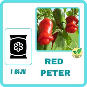 Jual Benih Bibit Biji - Cabai Red Peter Pepper Cabe Porno Merah Pepper ...
