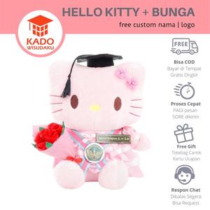 Jual Boneka Wisuda Hello Kitty Buket bunga dan Ijazah Kado Wisudaku ...