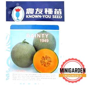 Jual MELON DAINTY 20 GRAM PACK BESAR benih biji bibit buah melon rock ...