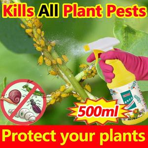 Jual Pembasmi Hama Tanaman Hias, Ulat, Kutu Putih, Jamur, Hama Daun ...