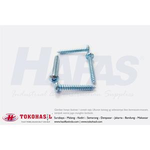 Jual Tapping Screw PH+ #6 x 1" (putih) | Sekrup - 1000 pcs - Jakarta ...