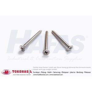 Jual Tapping Screw FH M3 x 12 (#4 x 1/2") stainless steel A2 | Sekrup - Jakarta Barat - PT HASIL ...