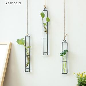 Jual Vas Bunga Gantung Dinding Bahan Besi Kaca Transparan Untuk Tanaman ...